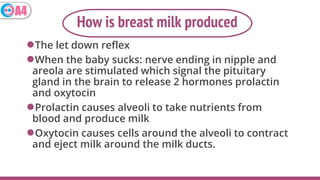 Breastfeeding tips for new moms | PPTX