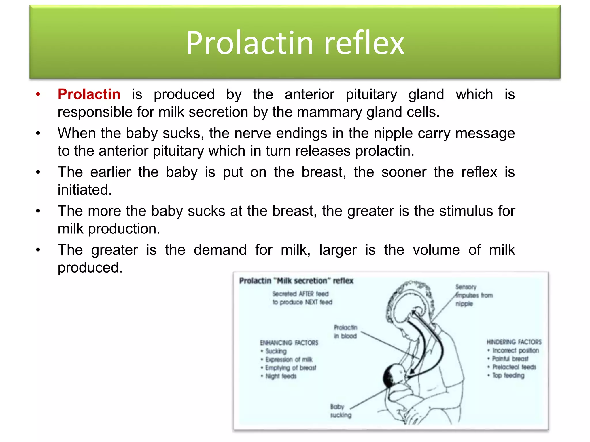 Breastfeeding VS formula feeding .pptx