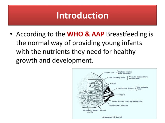 Breastfeeding VS formula feeding .pptx | Pregnancy | Reproductive Health