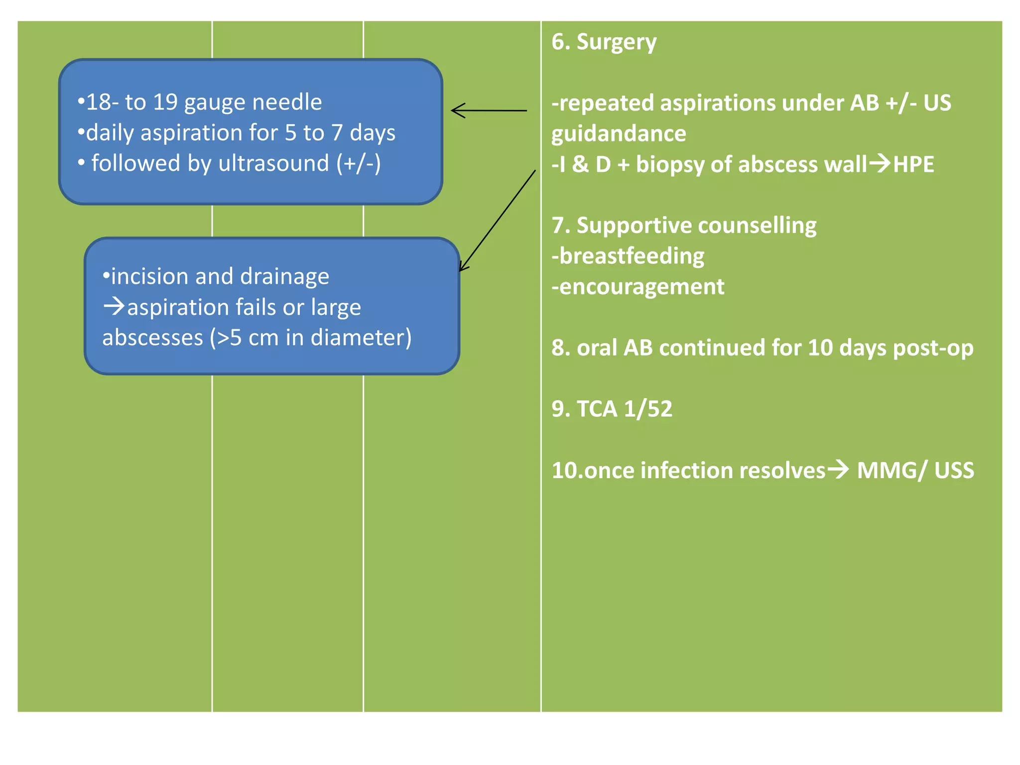 Breast infections | PPTX