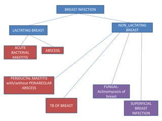 Breast infections | PPTX