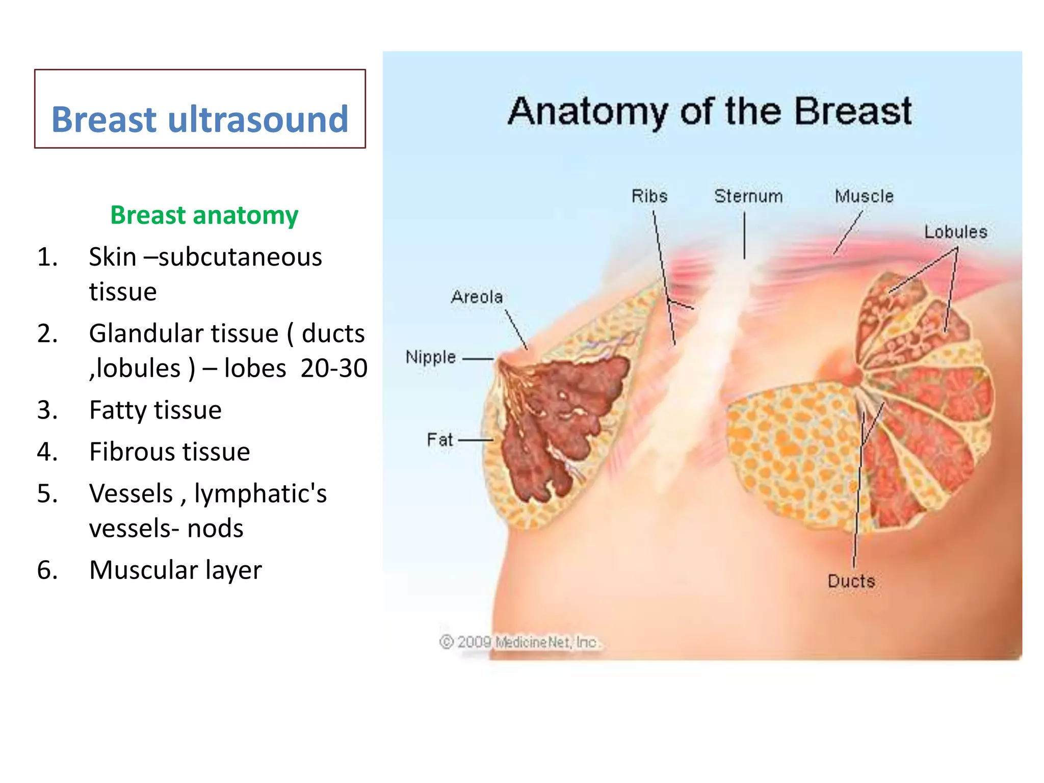 Breast lesion by ultrasound | PPTX