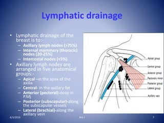 Breast lumps dr tuse | PPTX