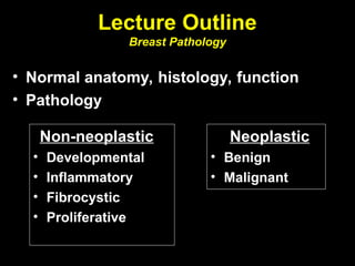 Breast Pathology Clinical Pathology Study Questions_Mari-Alina ...