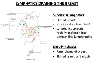 Breast Region | PPTX