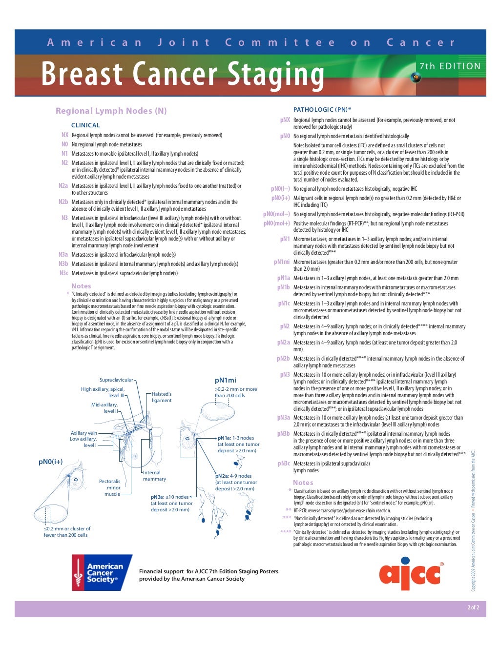 Breast Cancer Staging Ajcc