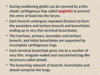 breathing-210415115536.pptx complete information | PPT