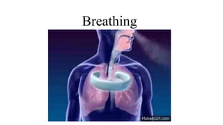 breathing.pptx