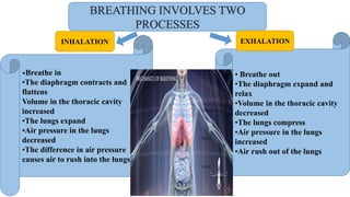 breathing.pptx