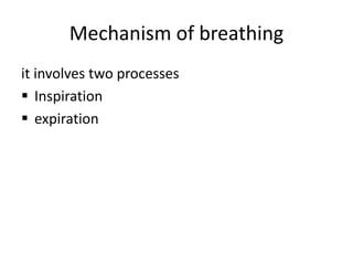 BREATHING.pptx