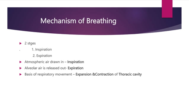 BREATHING slide share for 10 standard ppt | PPTX | Lung and Respiratory ...