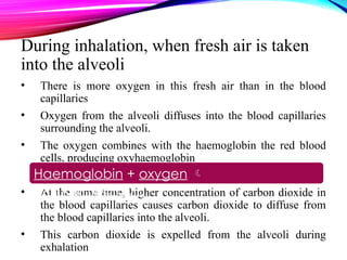 Breathing lower secondary biology year8.pptx