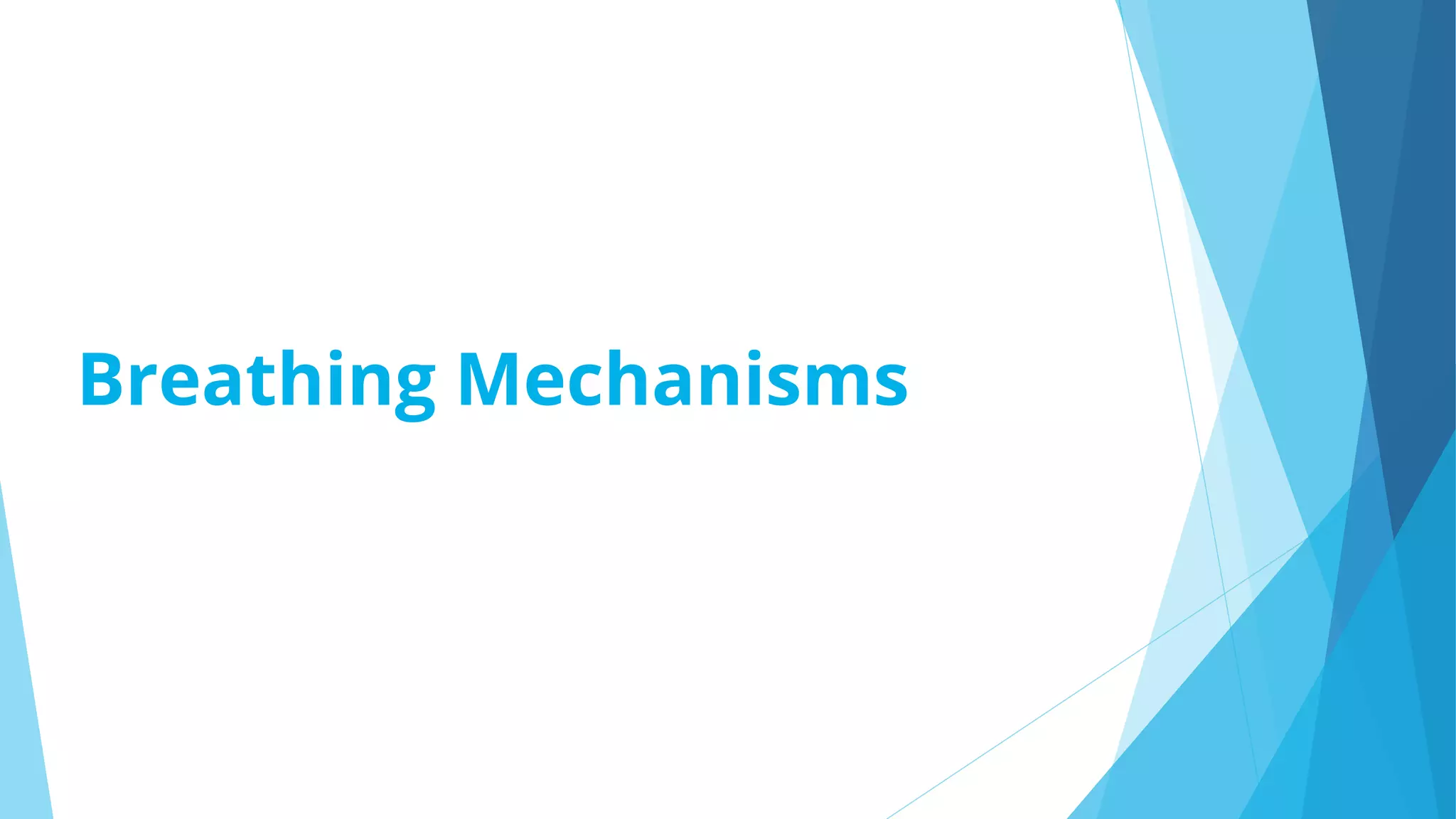Breathing-Mechanisms.pptx