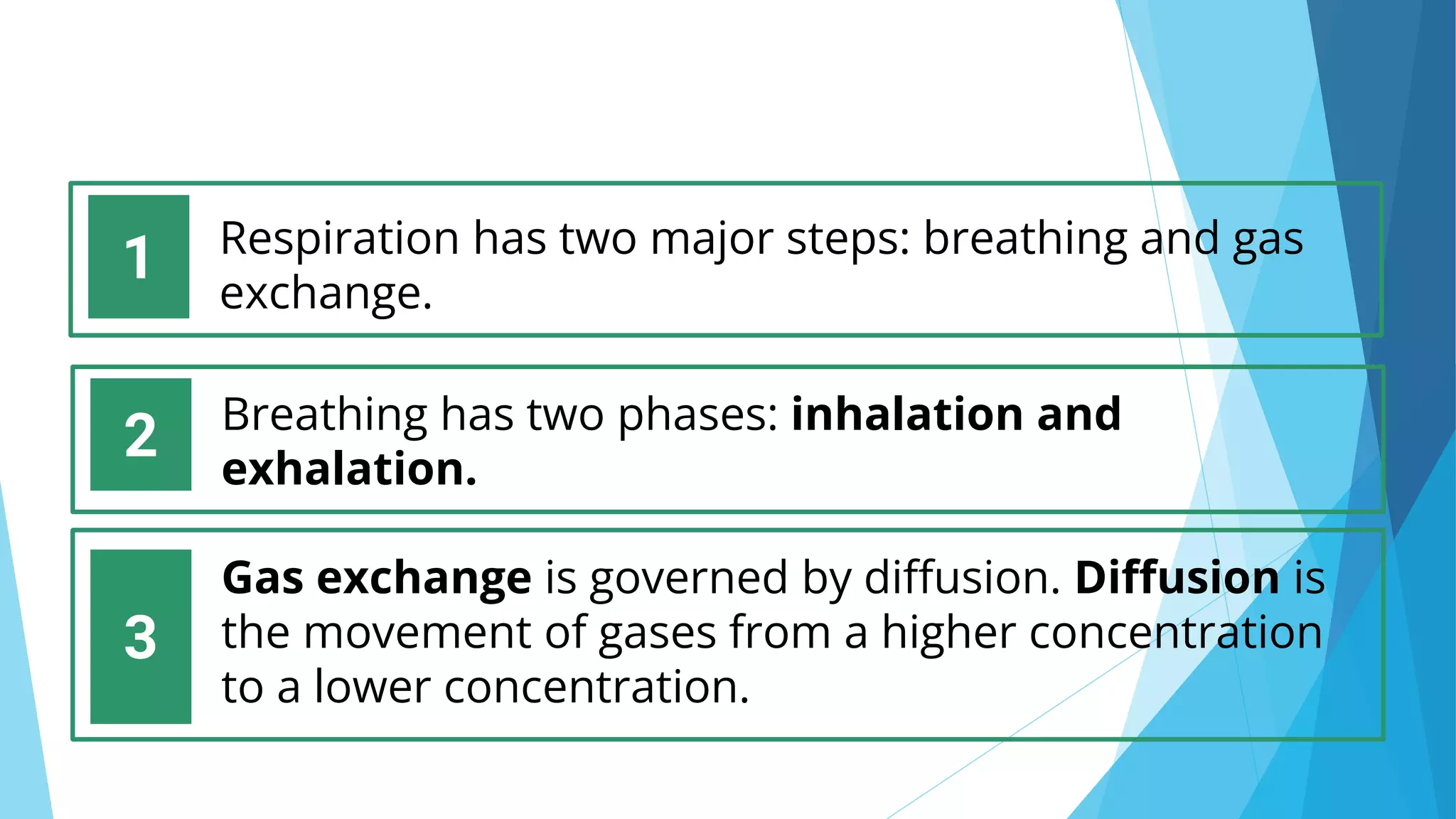 Breathing-Mechanisms.pptx
