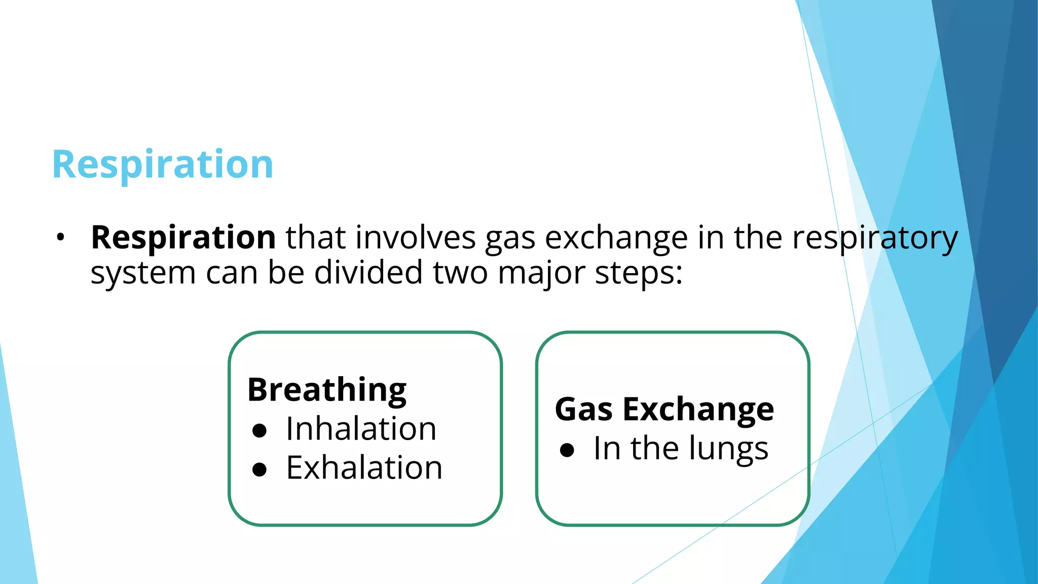 Breathing-Mechanisms.pptx
