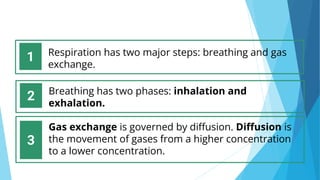 Breathing-Mechanisms.pptx