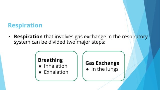 Breathing-Mechanisms.pptx