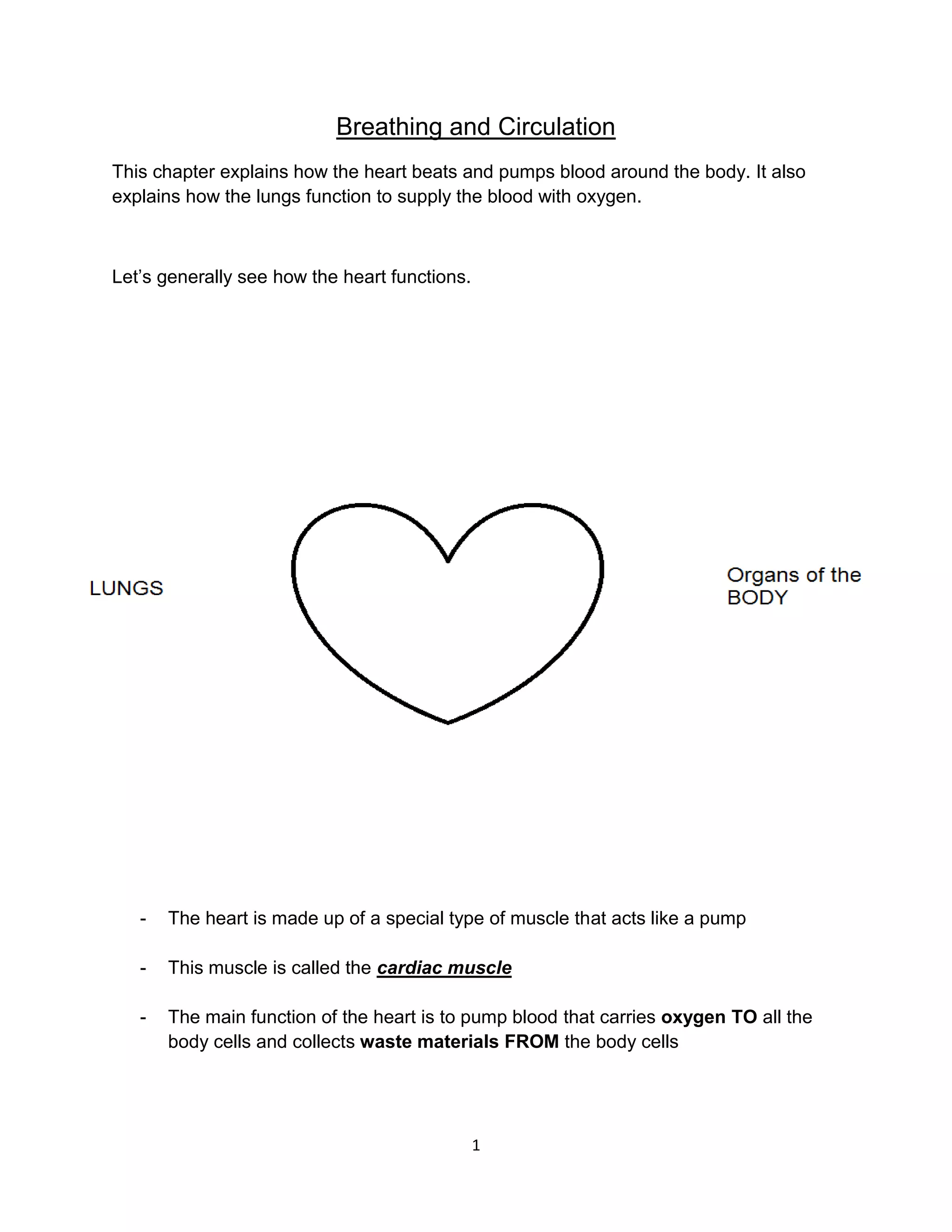 Breathing and circulation | PDF