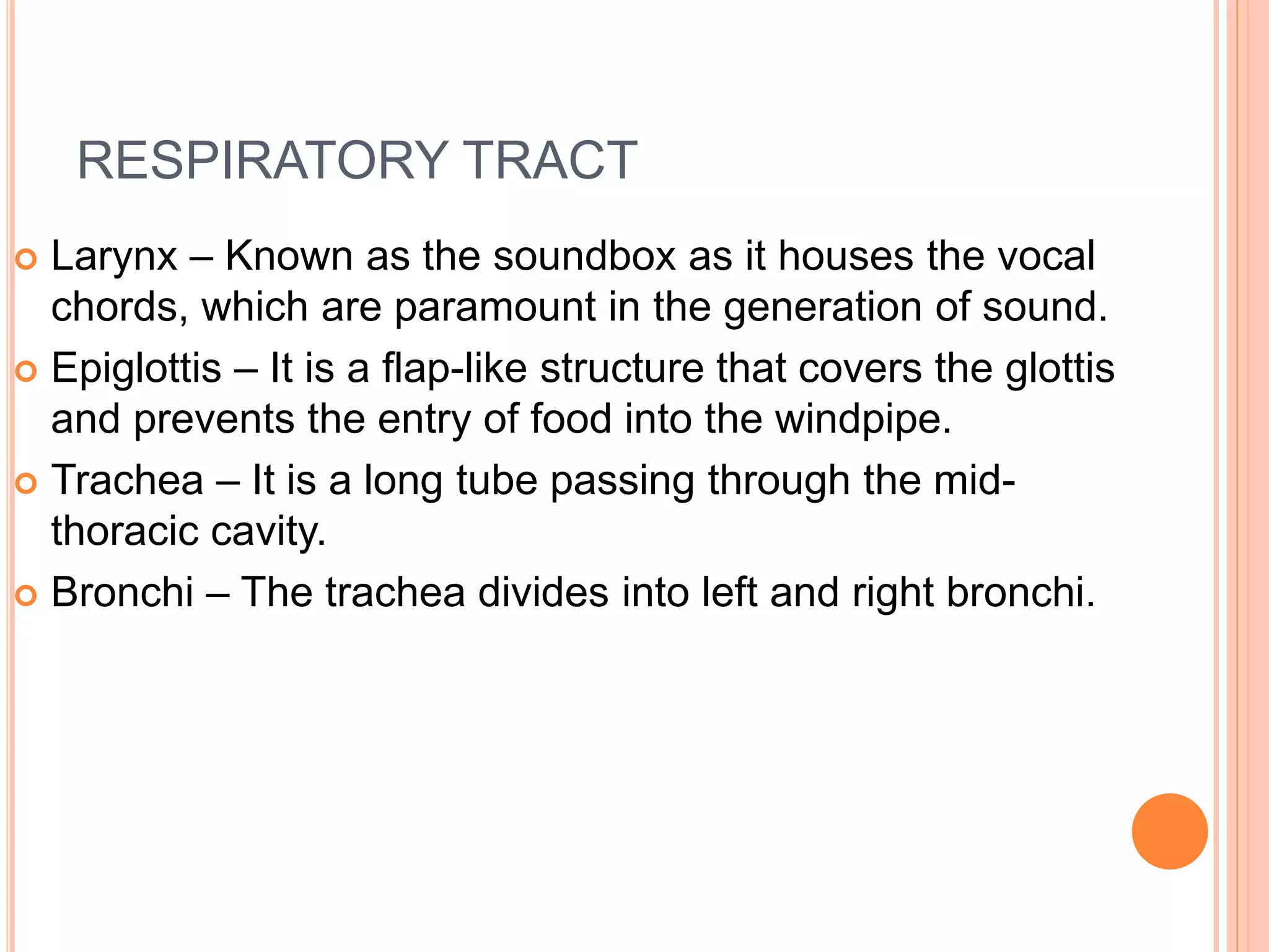 BREATHING AND EXCHANGE OF GASES.pptx