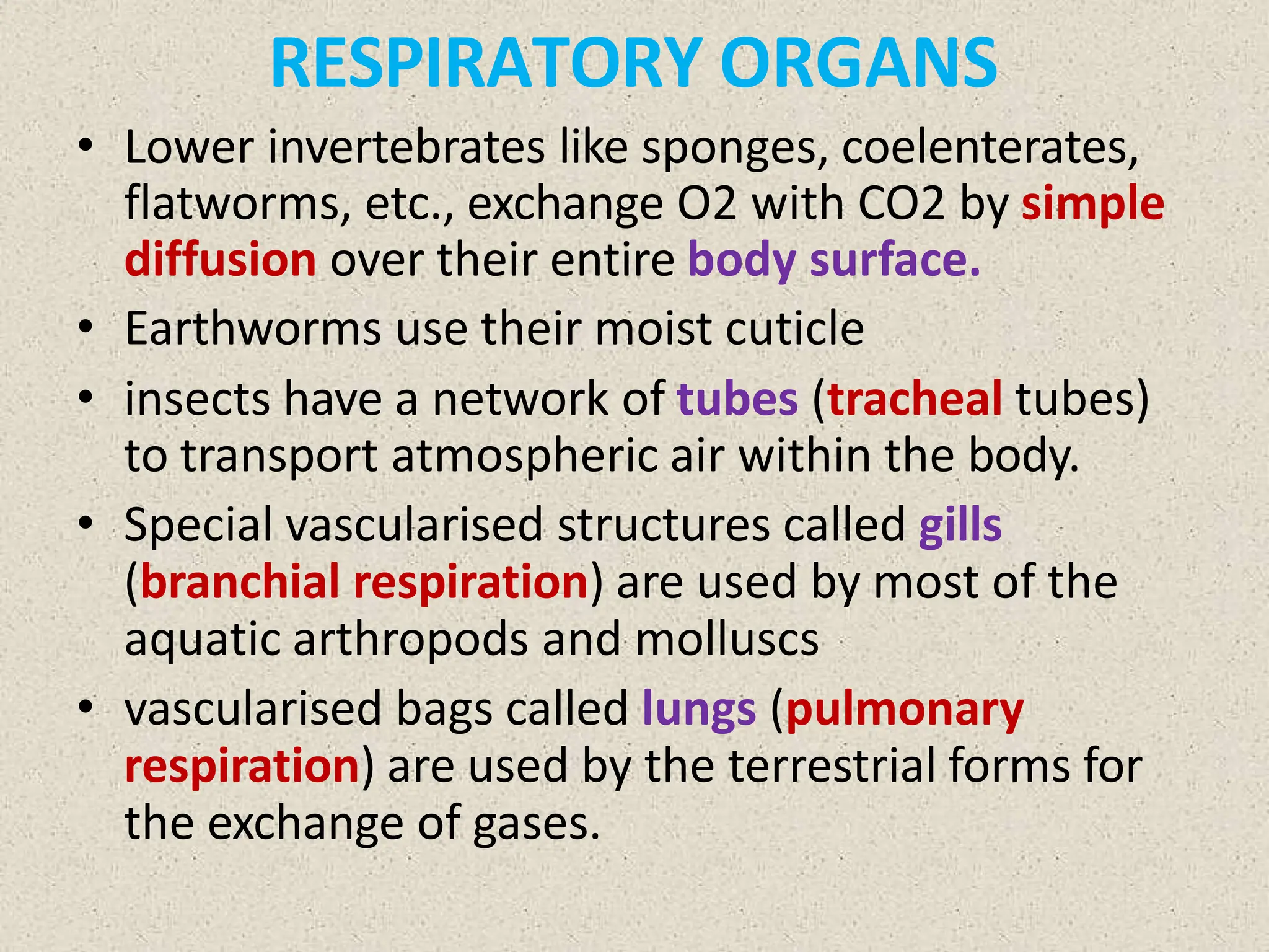 Breathing and Exchange of Gases.pptx is made for teaching class 11 | PPTX