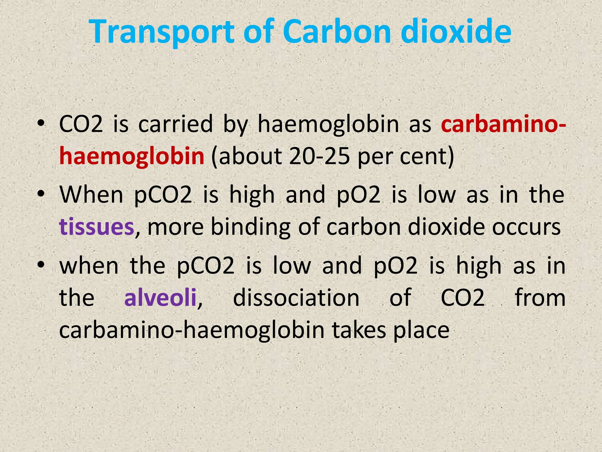 Breathing and Exchange of Gases.pptx is made for teaching class 11 | PPTX