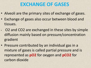 Breathing and Exchange of Gases.pptx is made for teaching class 11 | PPTX