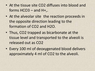 Breathing and Exchange of Gases.pptx is made for teaching class 11 | PPTX