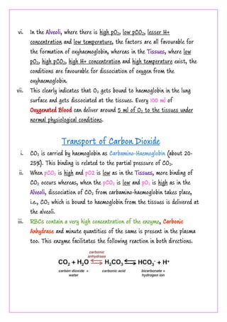 Breathing and Exchange of Gases Class 11th | PDF