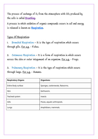 Breathing and Exchange of Gases Class 11th | PDF