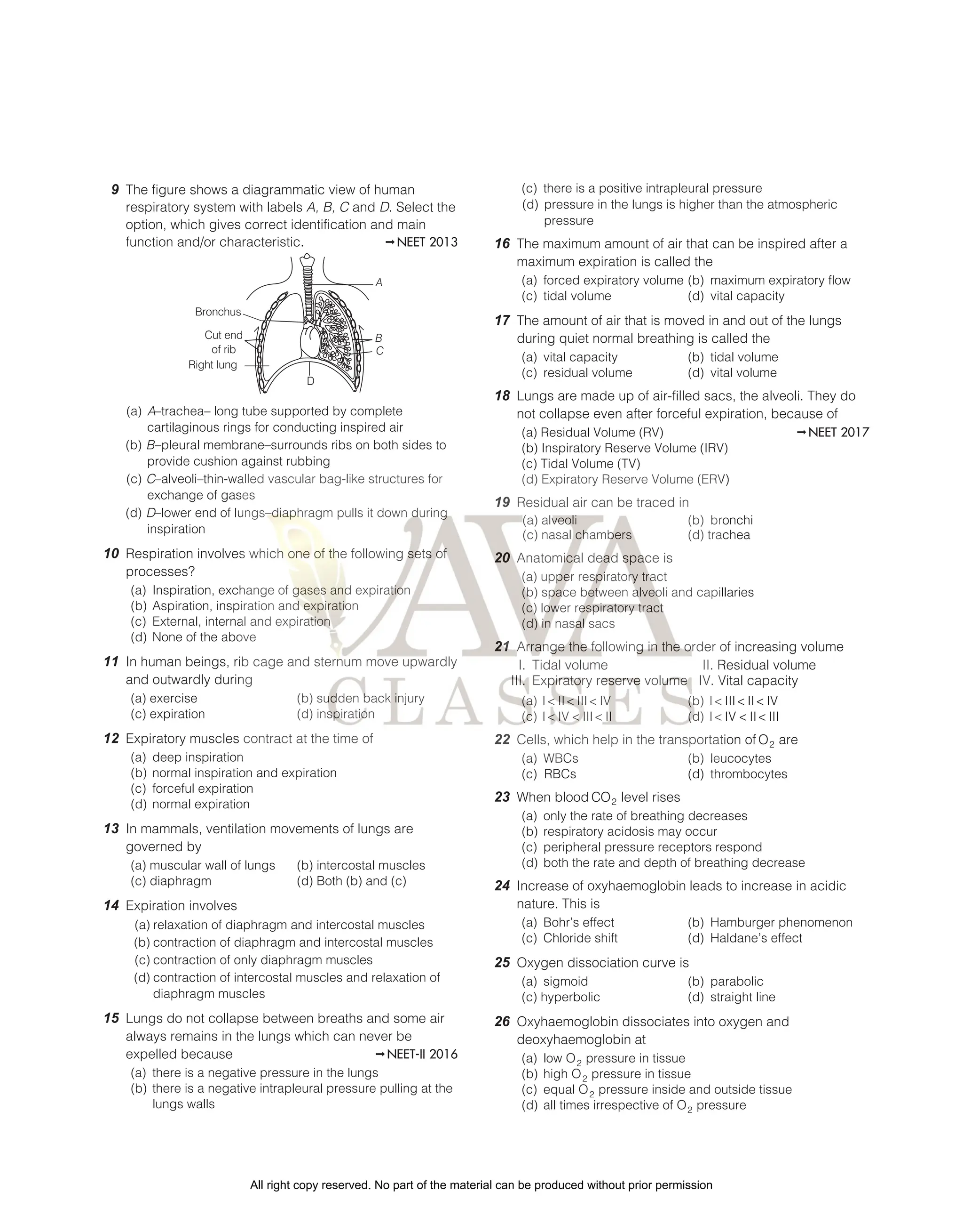 Breathing and exchange of gases class 11 ncert study material pdf | PDF