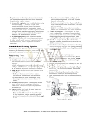 Breathing and exchange of gases class 11 ncert study material pdf | PDF