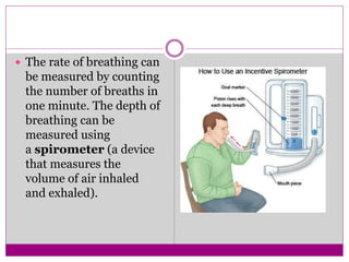 Breathing and Respiration.with values of related to respiratory system ...
