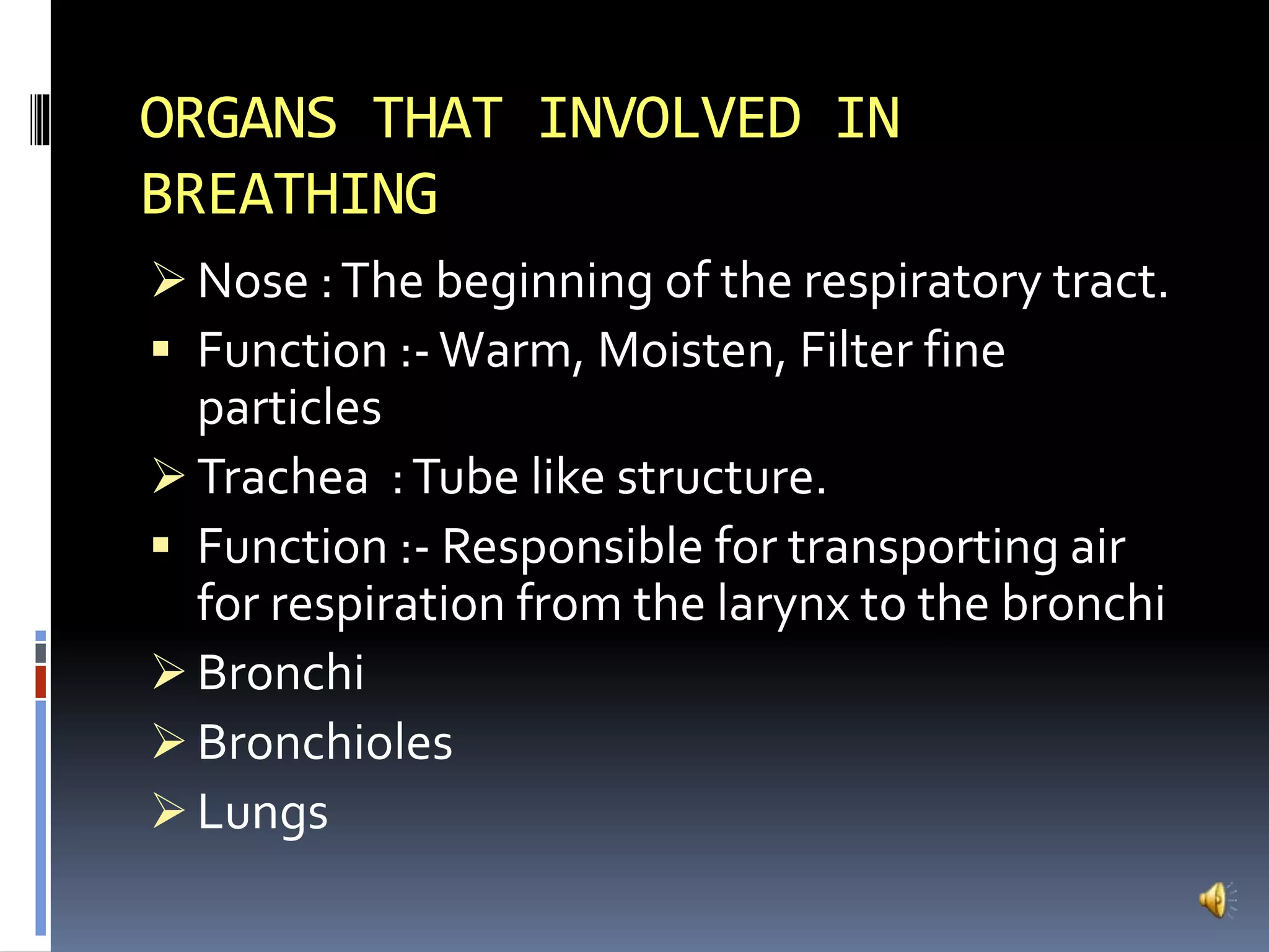 Breathing Exercise and spirometr.pptx