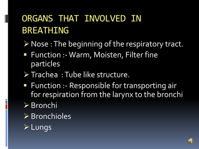 Breathing Exercise and spirometr.pptx