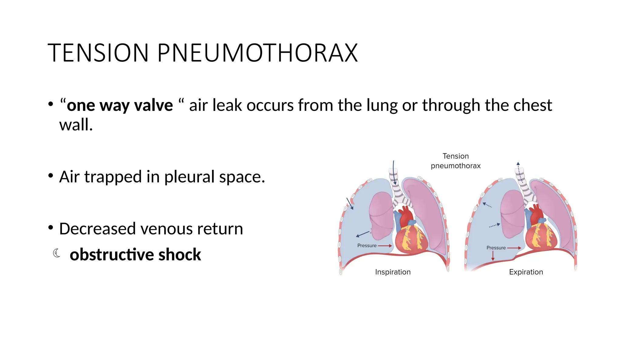 BREATHING AND VENTILATION power point presentation | PPTX