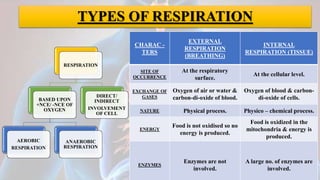 Breathing and exchange of gases | PPTX