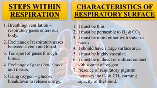 Breathing and exchange of gases | PPTX