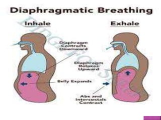 Breathing exercise | PPT