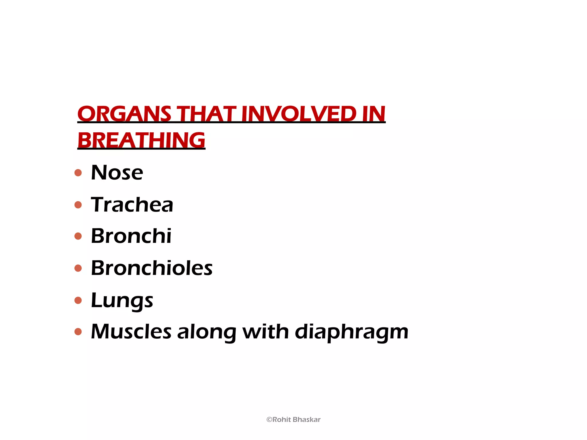 Breathing Exercises, Types & Techniques - Physiotherapy -Dr Rohit ...