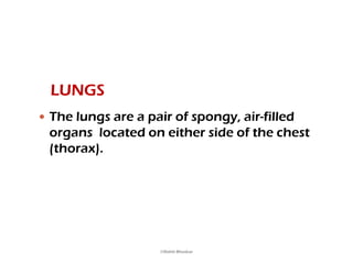 Breathing Exercises, Types & Techniques - Physiotherapy -Dr Rohit ...