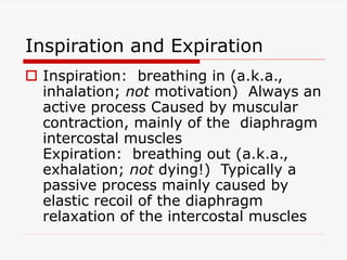 BREATHING EXERCISE.pdf