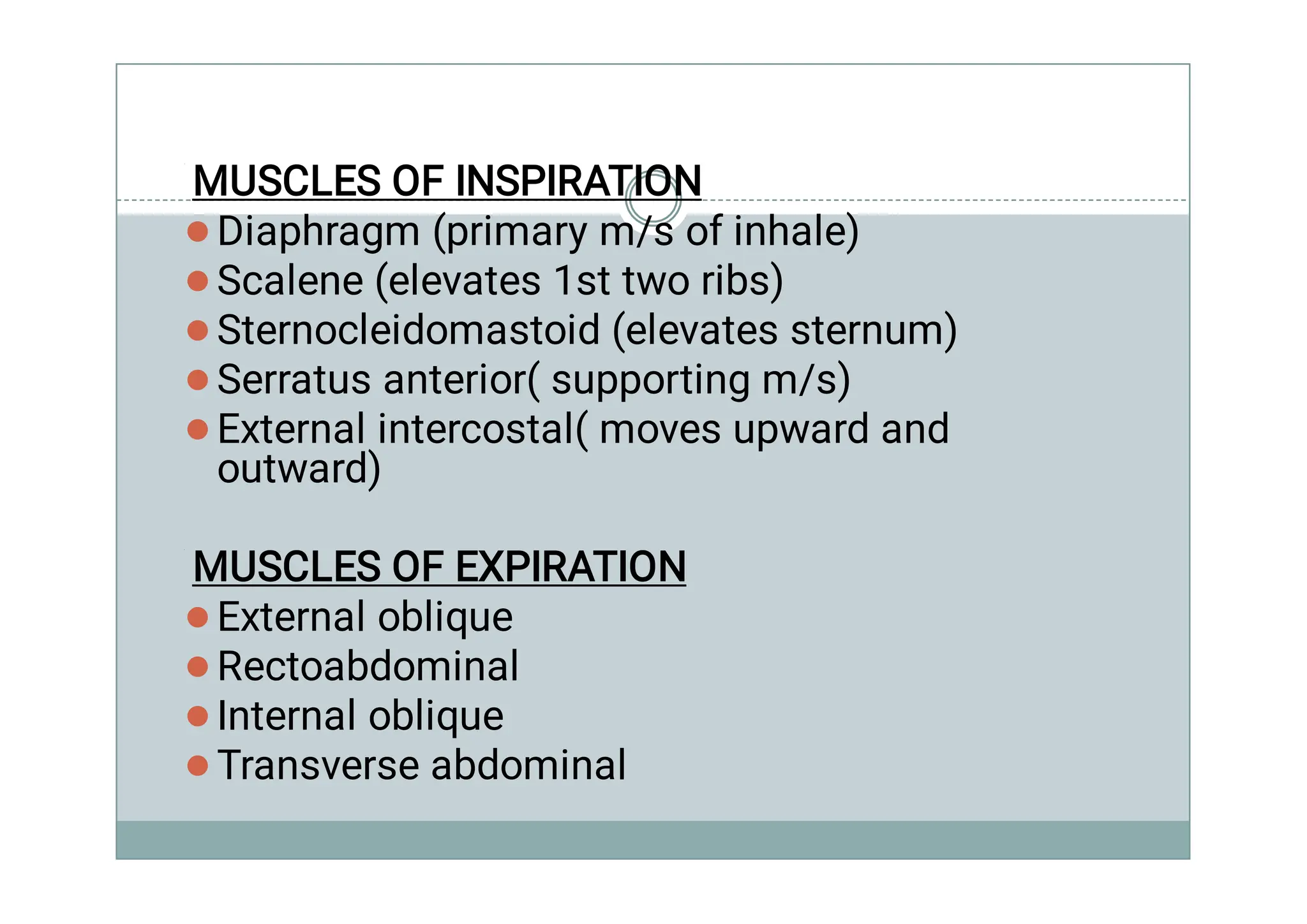 Breathing exercises.physiotherapy.improve breathing.pdf