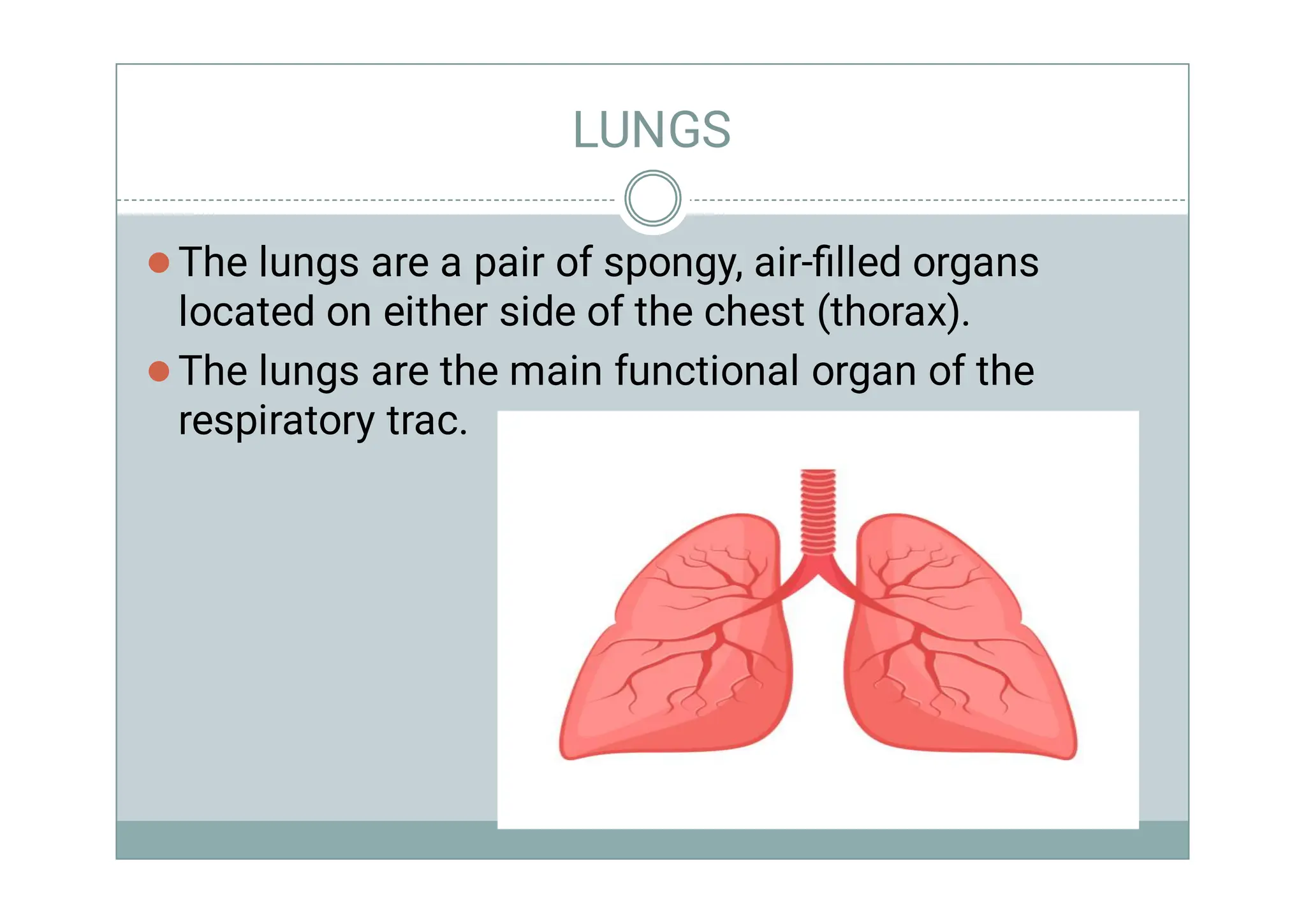 Breathing exercises.physiotherapy.improve breathing.pdf