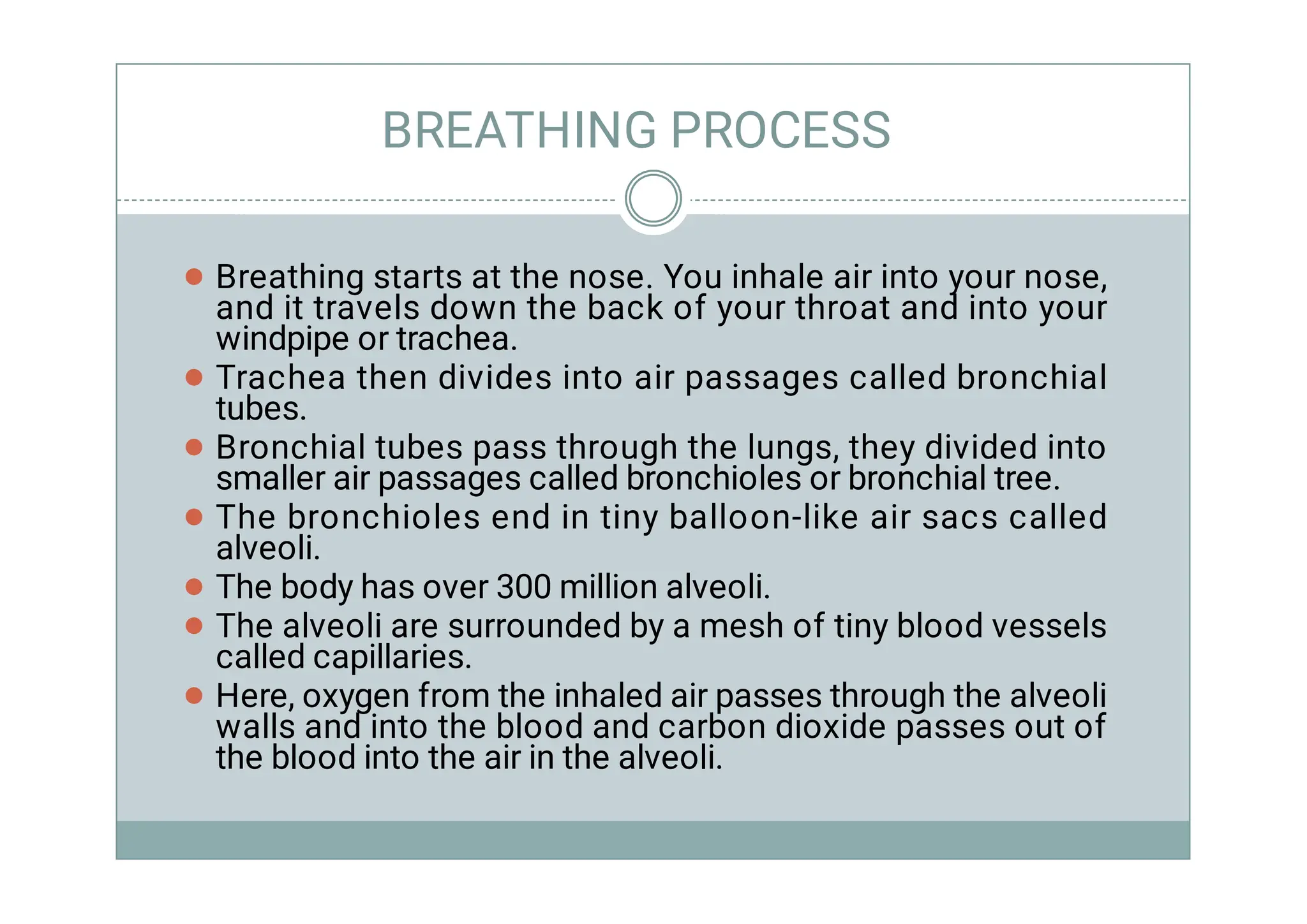 Breathing exercises.physiotherapy.improve breathing.pdf