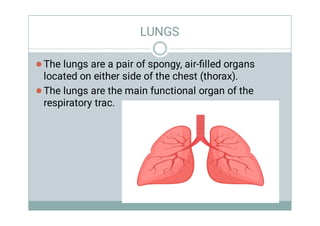 Breathing exercises.physiotherapy.improve breathing.pdf
