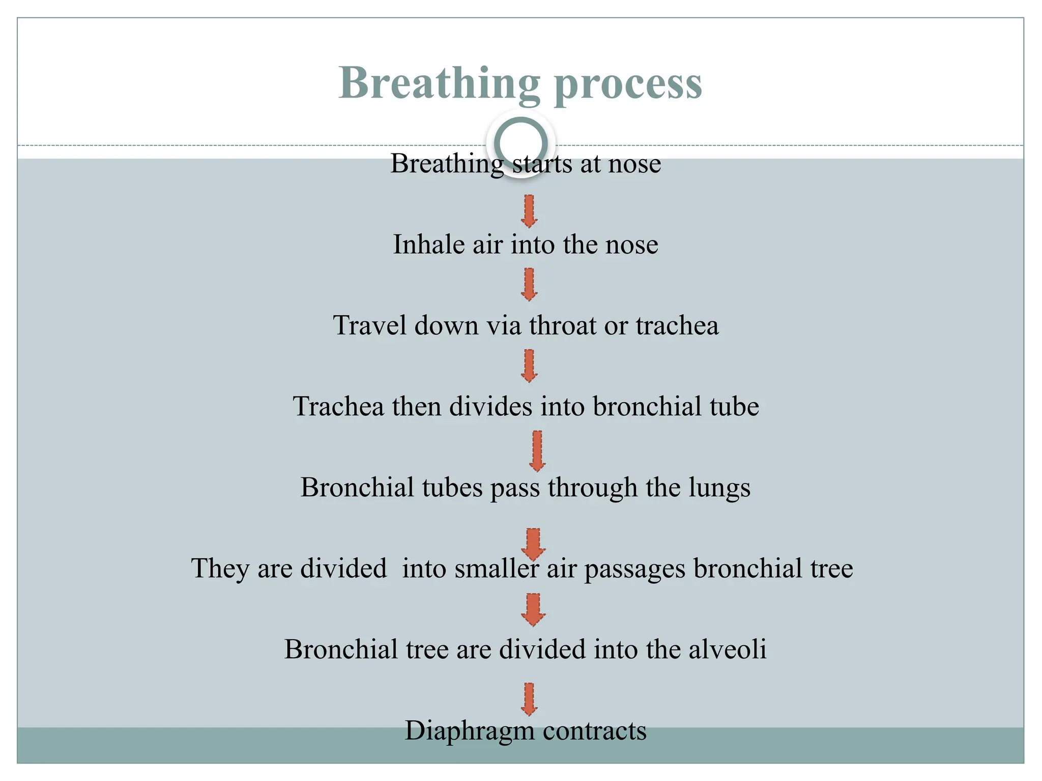 Breathing exercises physiotherapy 1.pptx