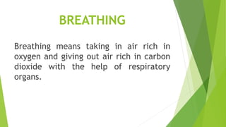 BREATHING FOR ENERGY PPT FOR CLASS 9 TOPIC.pptx