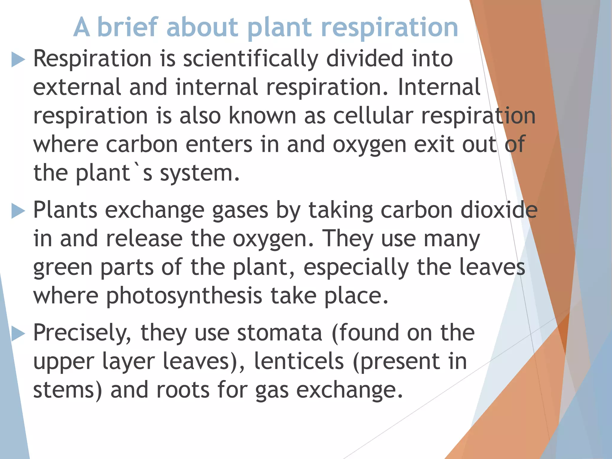 Breathing in plants | PPTX