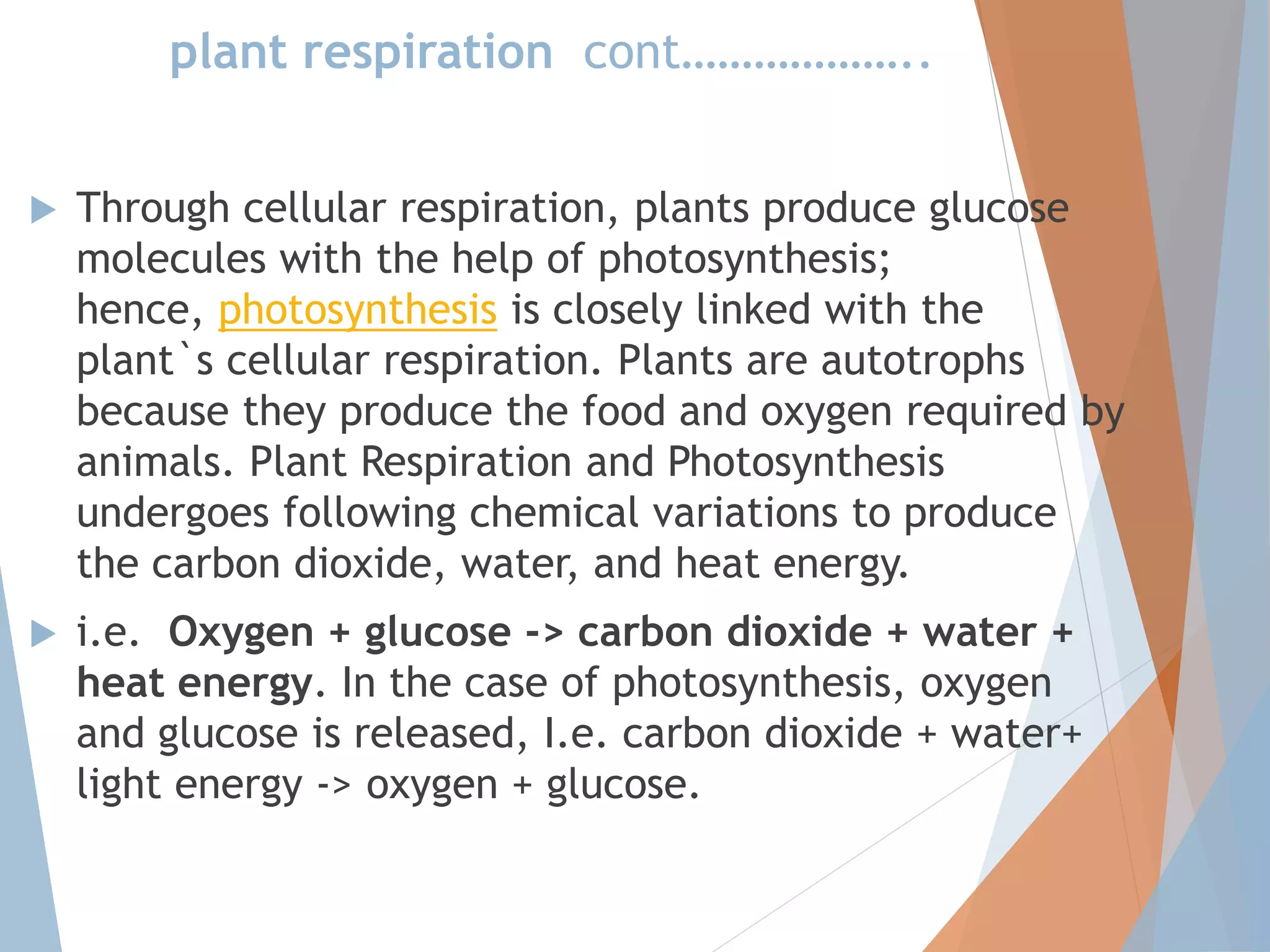 Breathing in plants | PPTX