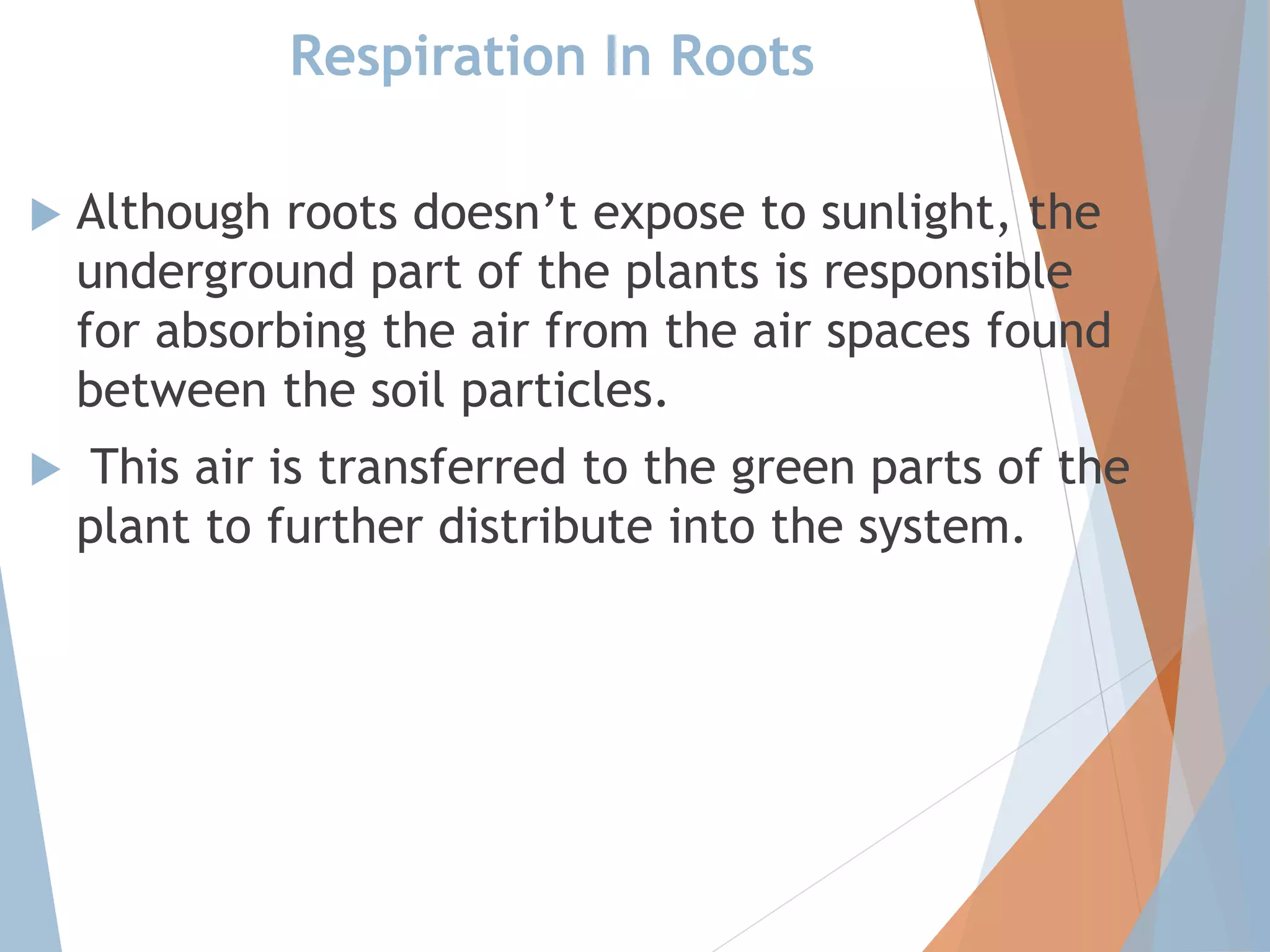 Breathing in plants | PPTX